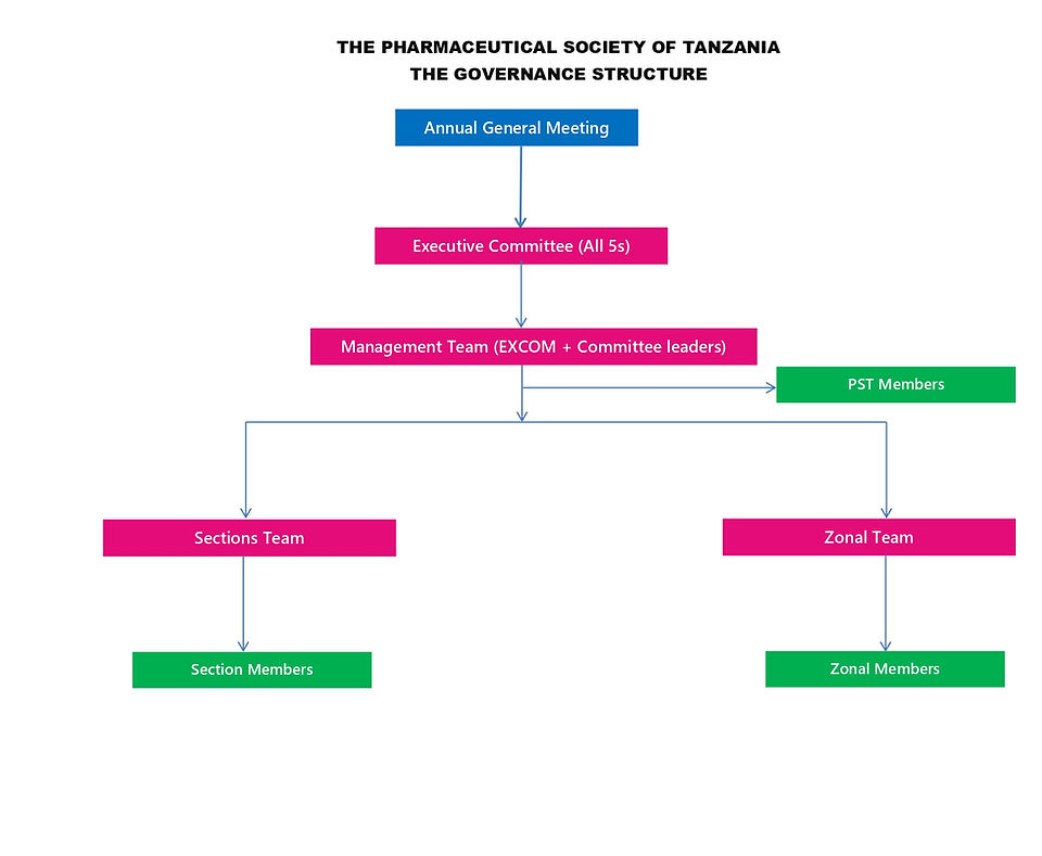 Governance Structure | THE PST